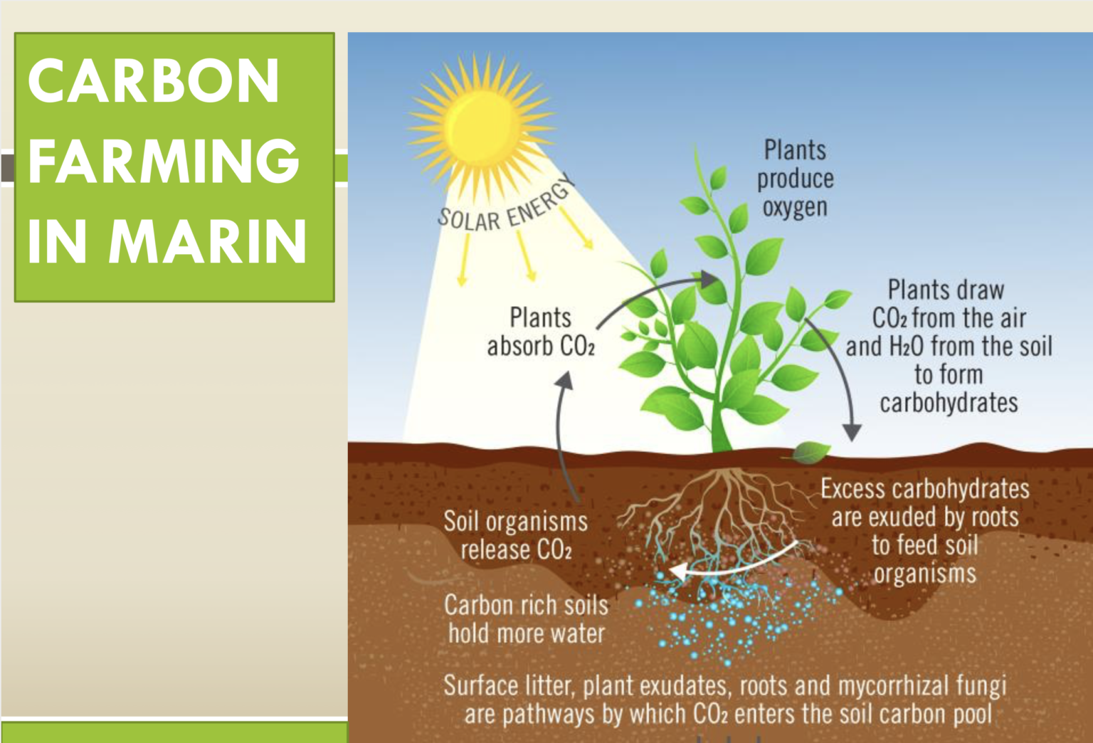 Carbon Farming – Marin Carbon Project